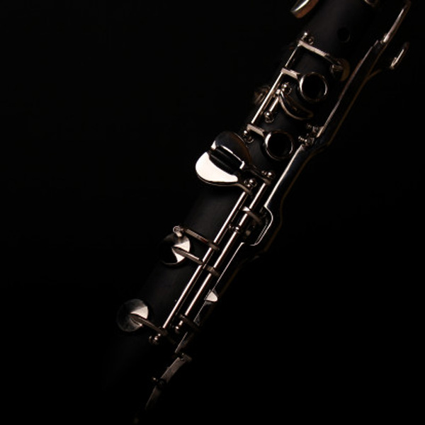 Shari Hoffman - American Symphony Orchestra